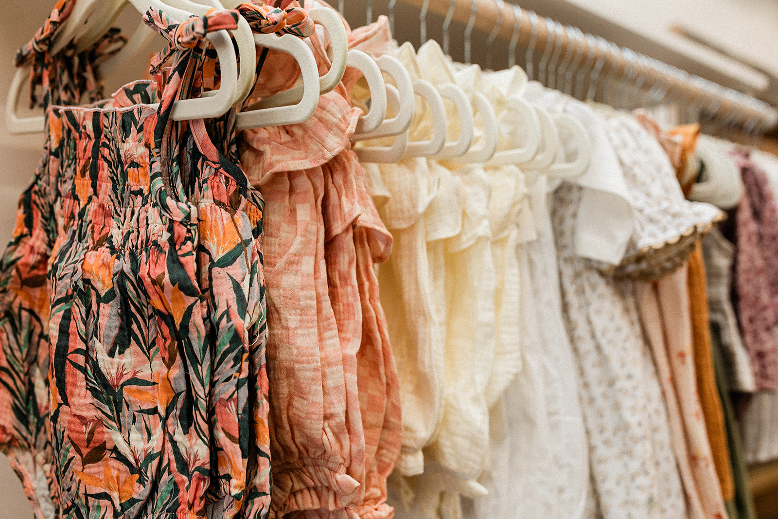 New Arrivals – Little Rays